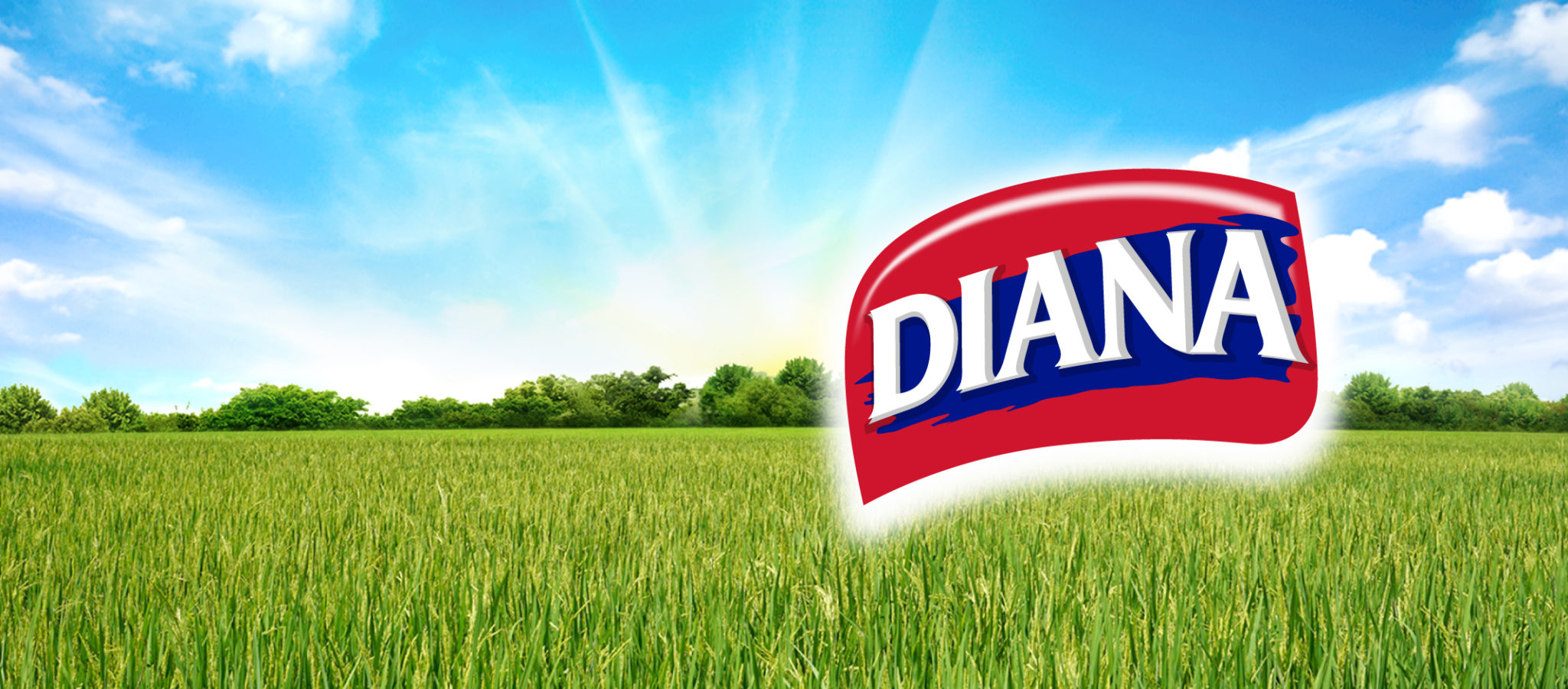 El arroz marca Diana y su origen - Grupo Diana