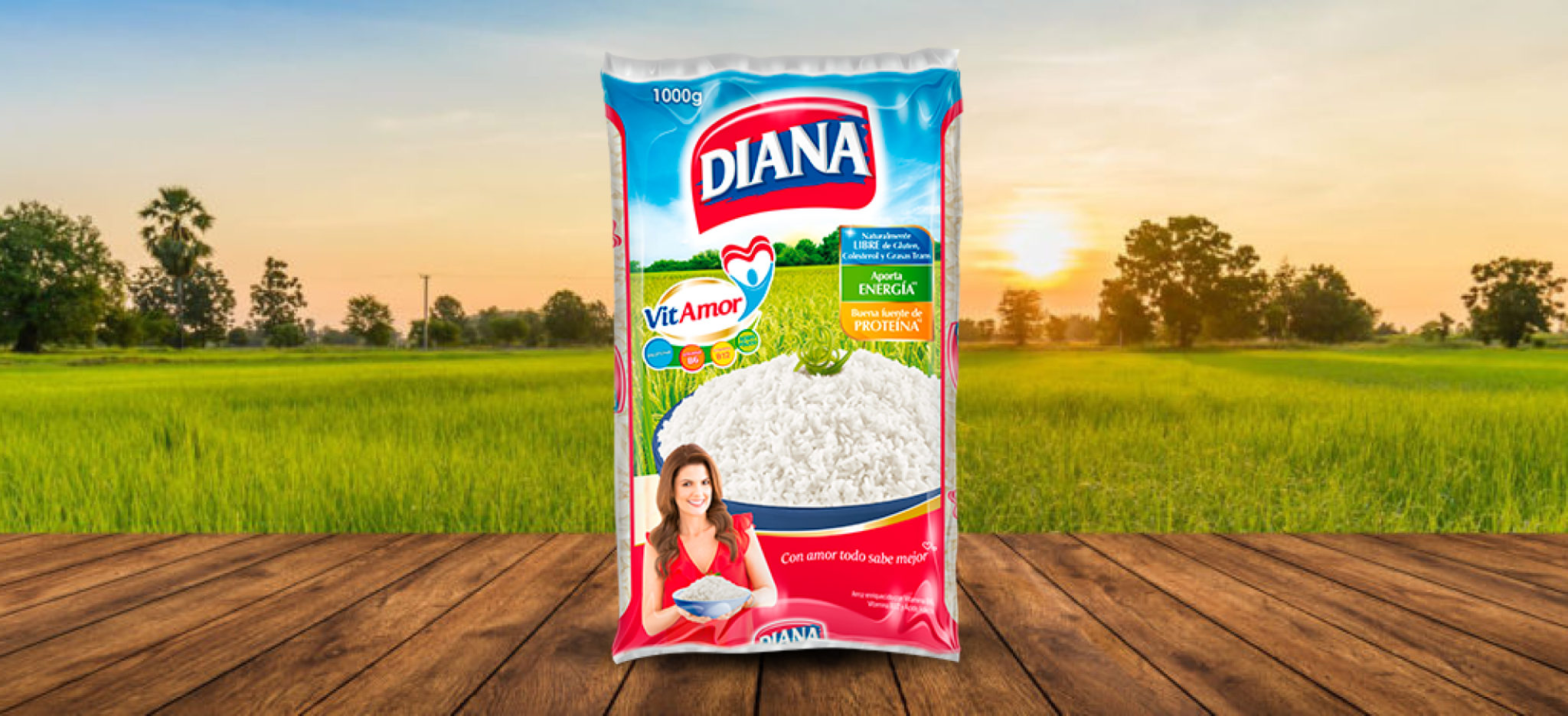 LA ESTRATEGIA DE GRUPO DIANA PARA LLEGAR A LA ALACENA DE LOS ...